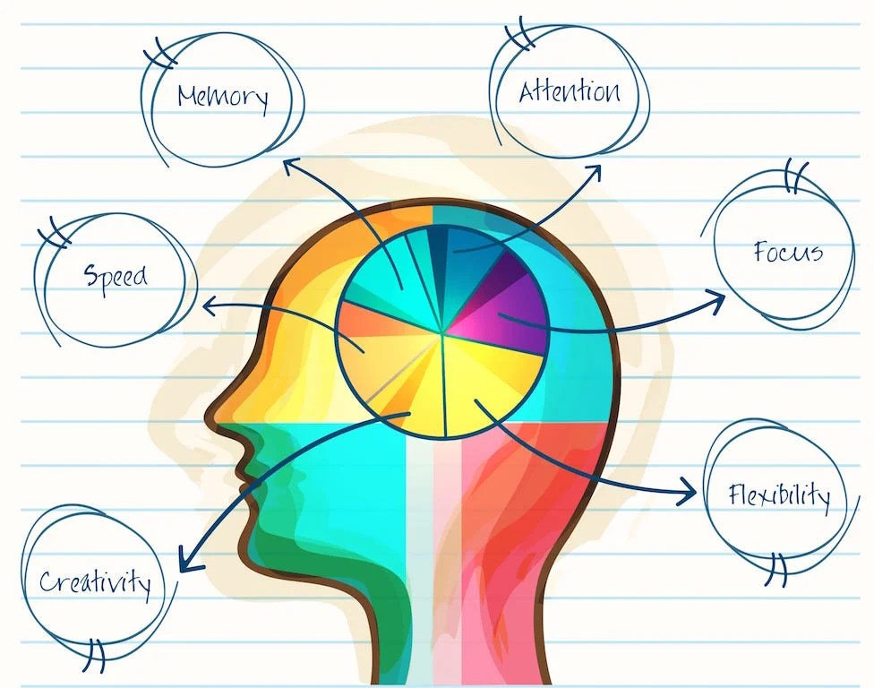 Our Research – Cognitive Neuroscience Lab @ BITSGoa